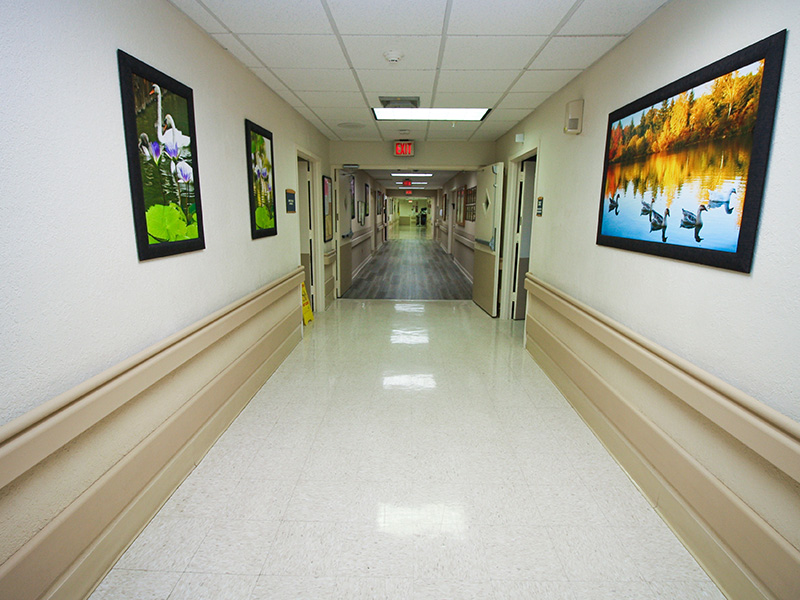 Contact Us - The Palms Care CenterThe Palms Care Center